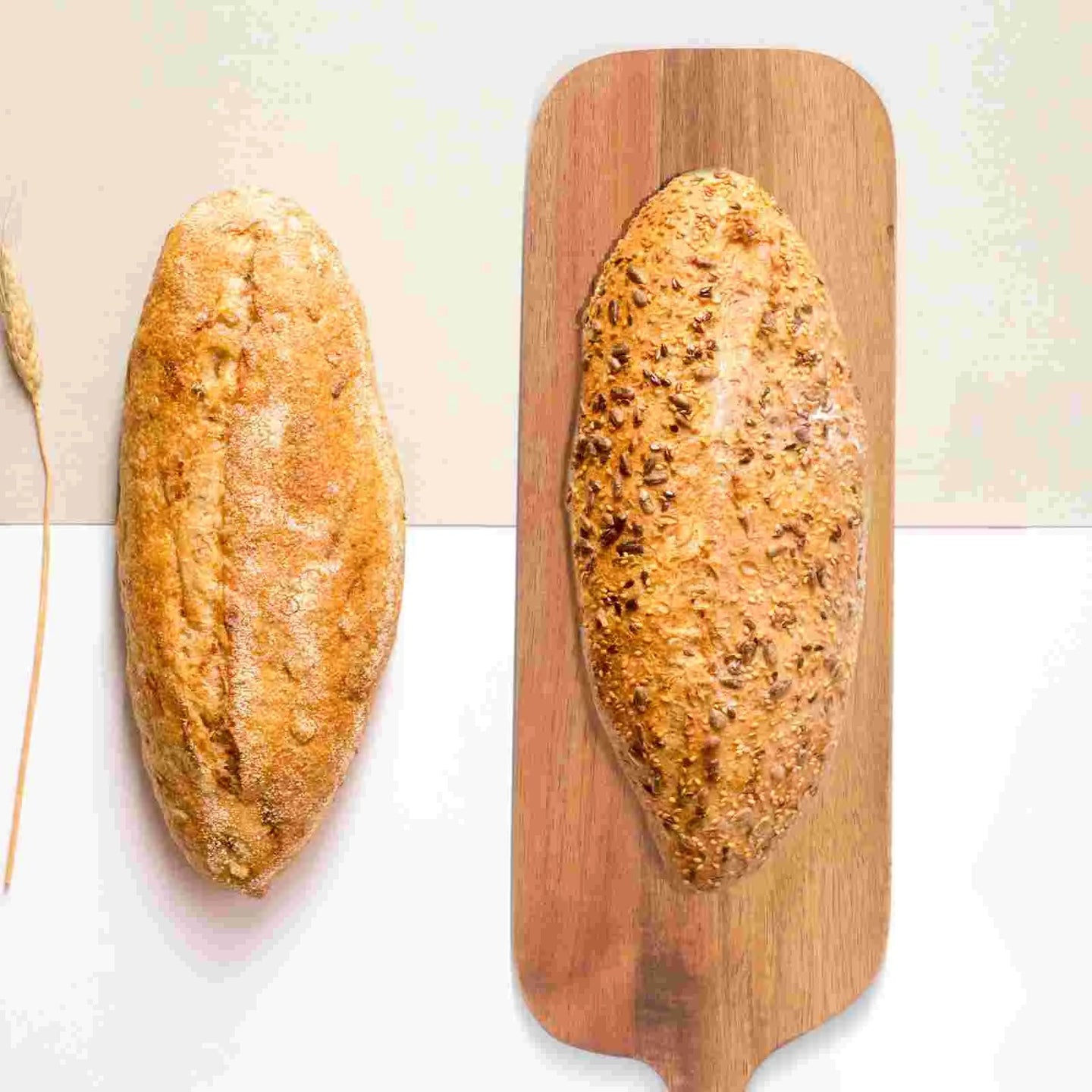 Bread Making Essentials – Earthy Bliss